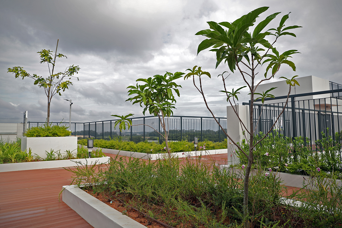 How have school designs in Singapore changed through the decades? | The ...