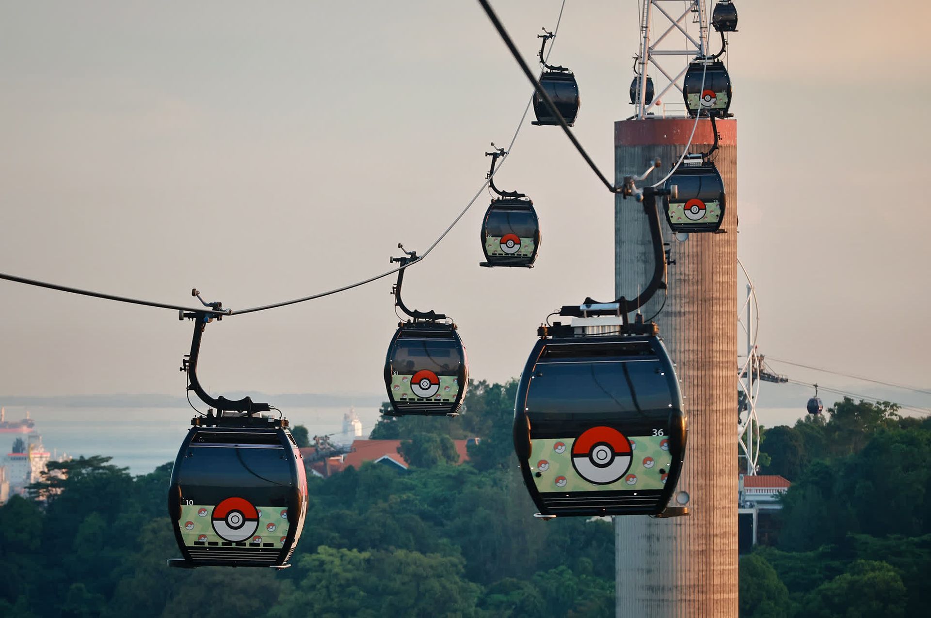 The Week in Pictures | The Straits Times