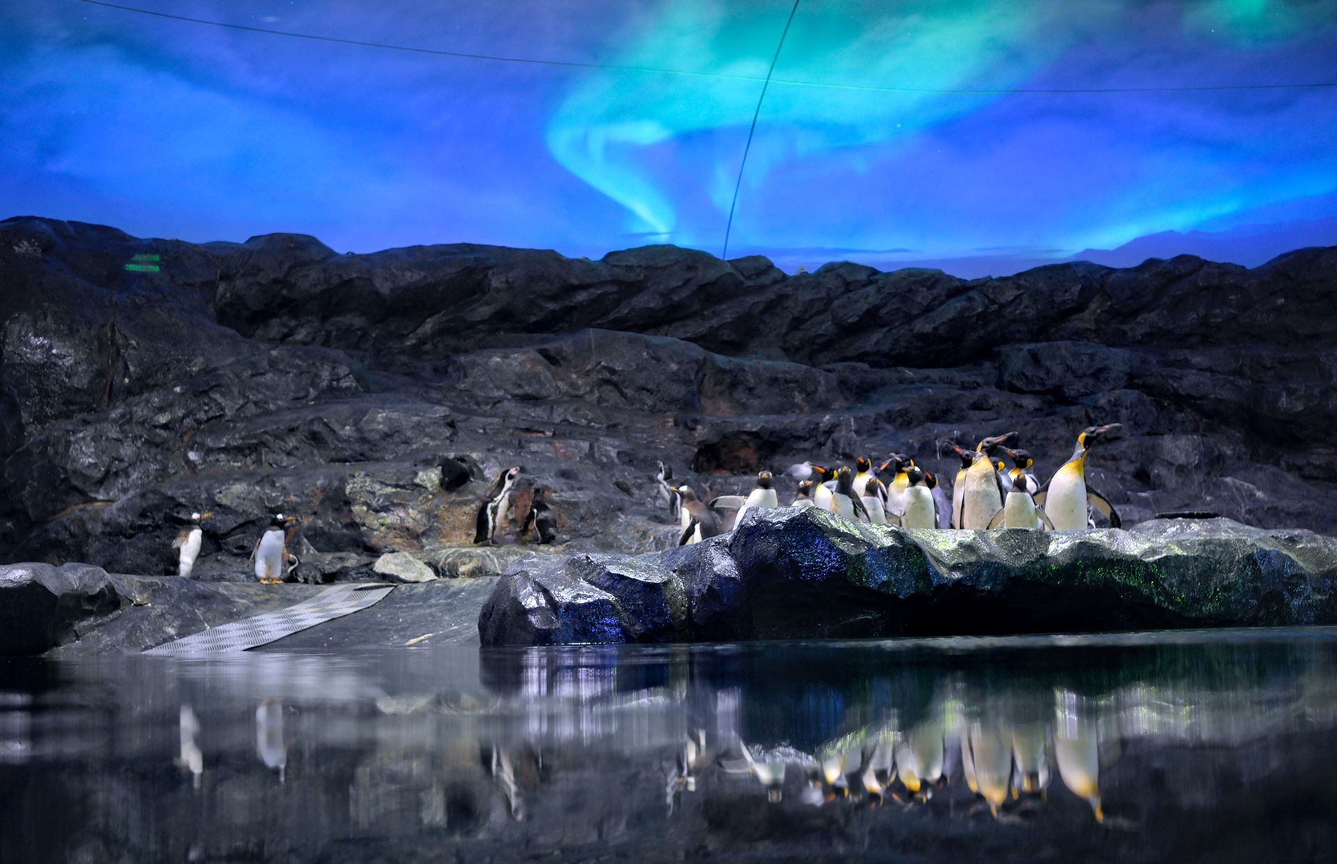 The Week in Pictures | The Straits Times