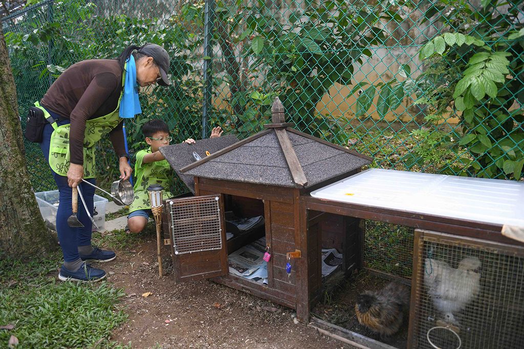 The urban kampung remix | The Straits Times