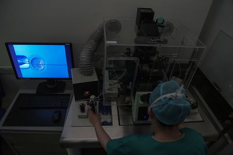 The art and science of egg banking