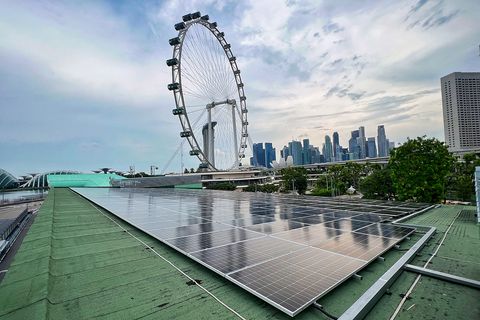 Revving up for the Singapore Grand Prix