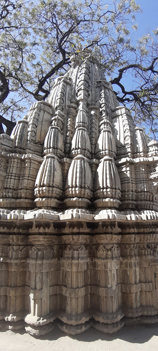 Rajasthan’s rainbow cities | The Straits Times