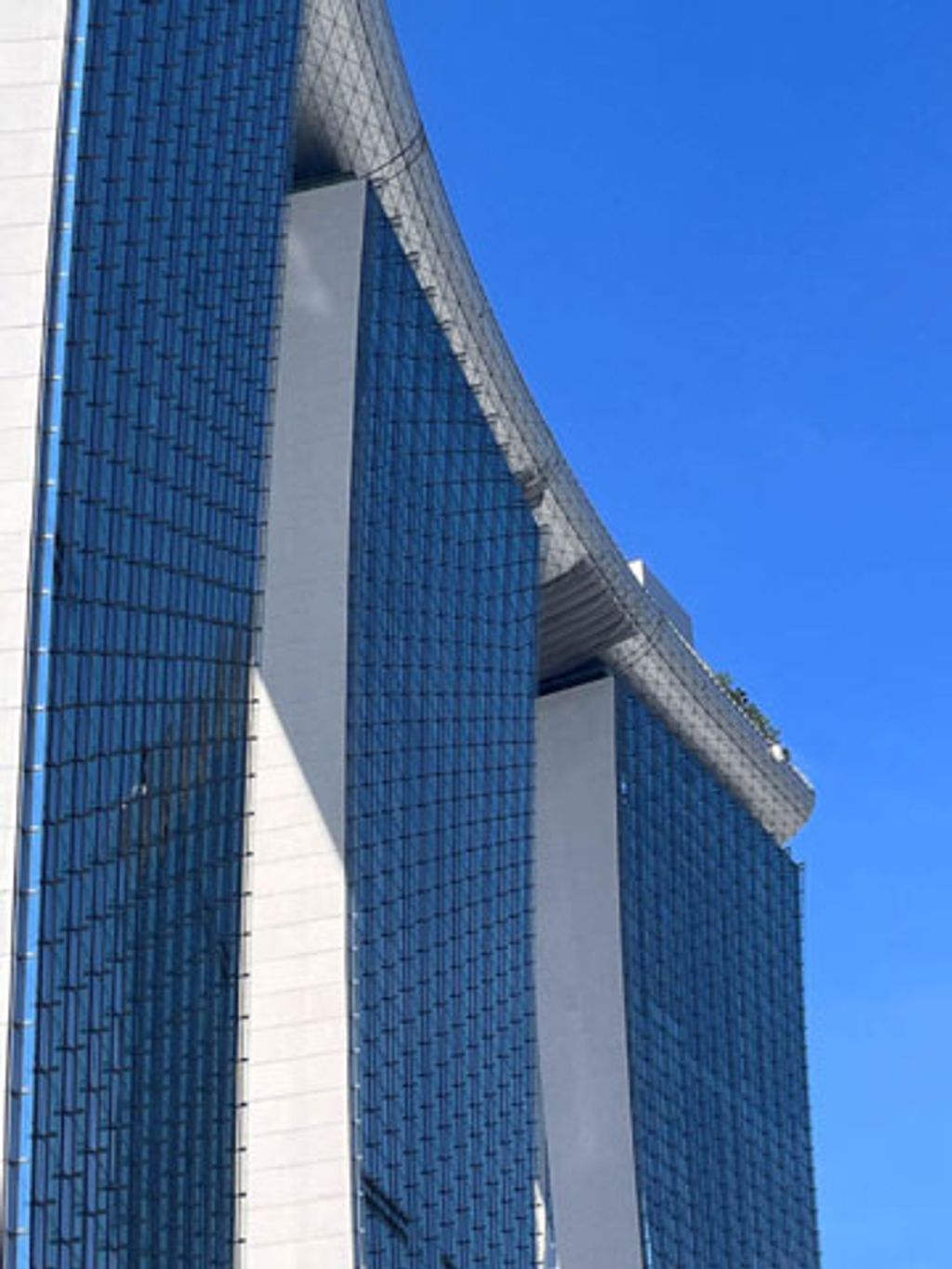 Singapore in Colour | The Straits Times