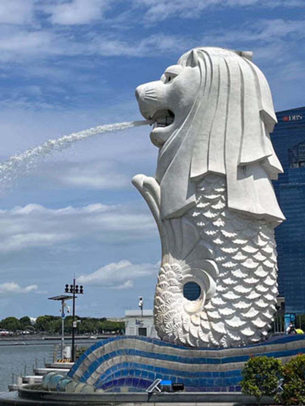 Singapore in Colour | The Straits Times