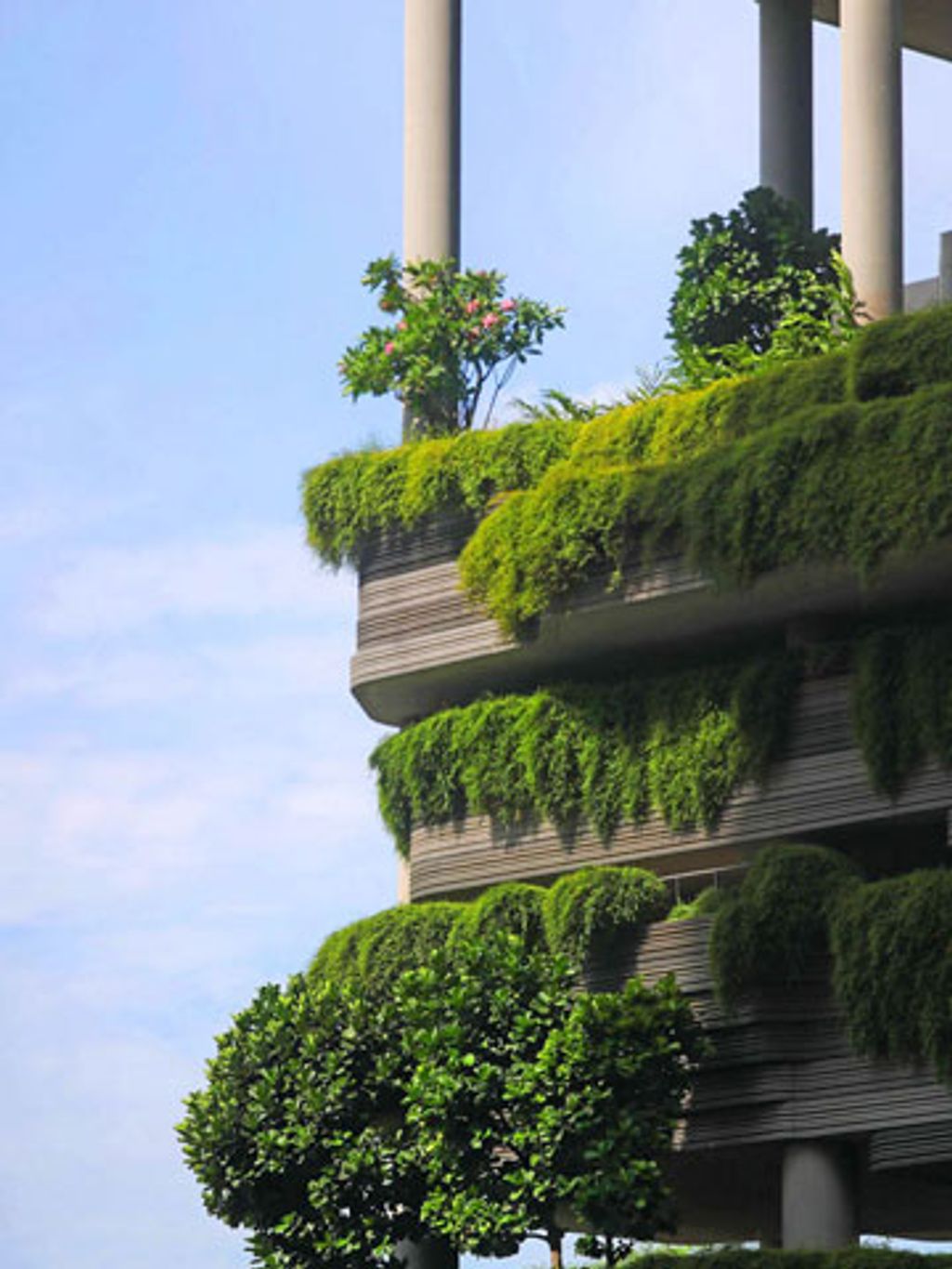 Singapore in Colour | The Straits Times