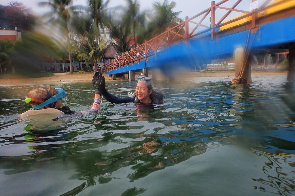 Can discarded oyster shells help shape a greener future for S’pore?
