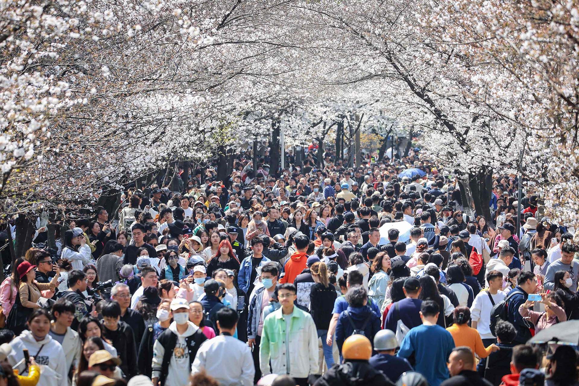 The Week in Pictures | The Straits Times