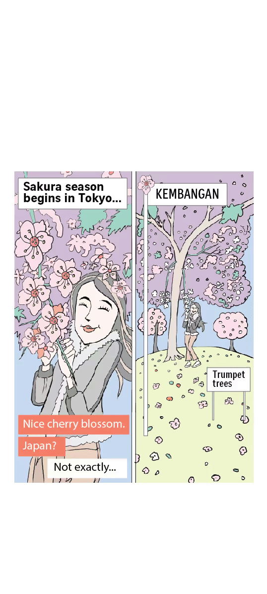 Cartoons of the week | The Straits Times