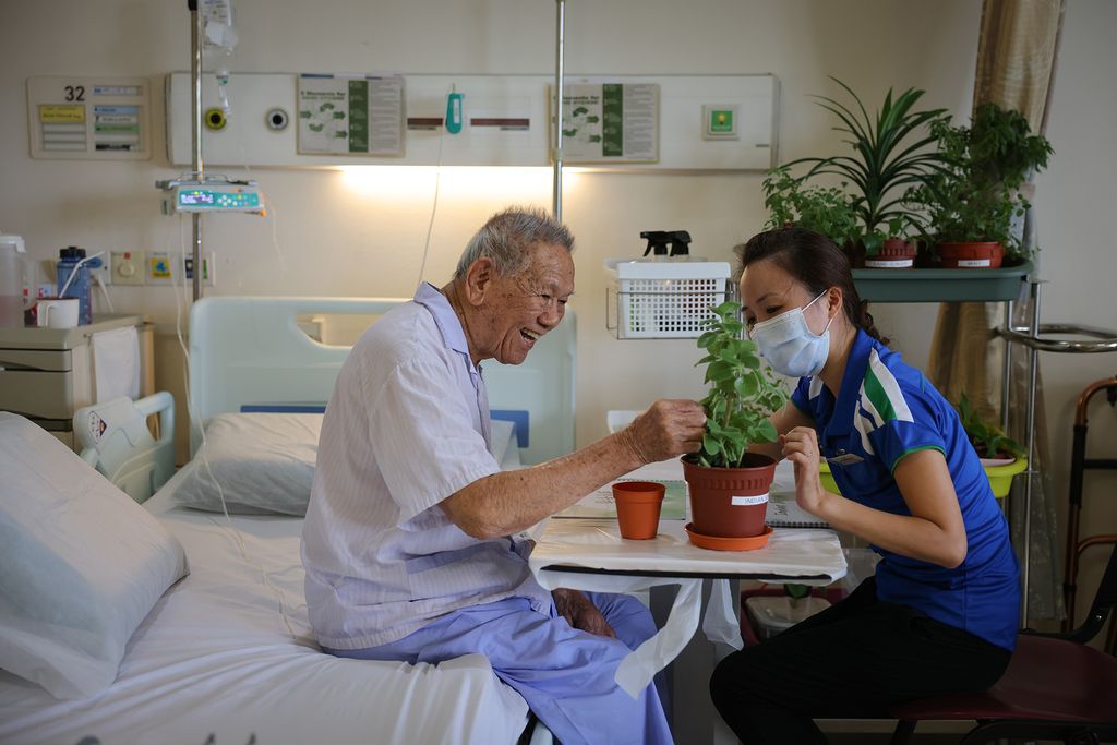 Garden by the bed: Bringing nature and healing to hospital patients