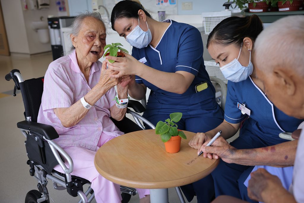 Garden by the bed: Bringing nature and healing to hospital patients