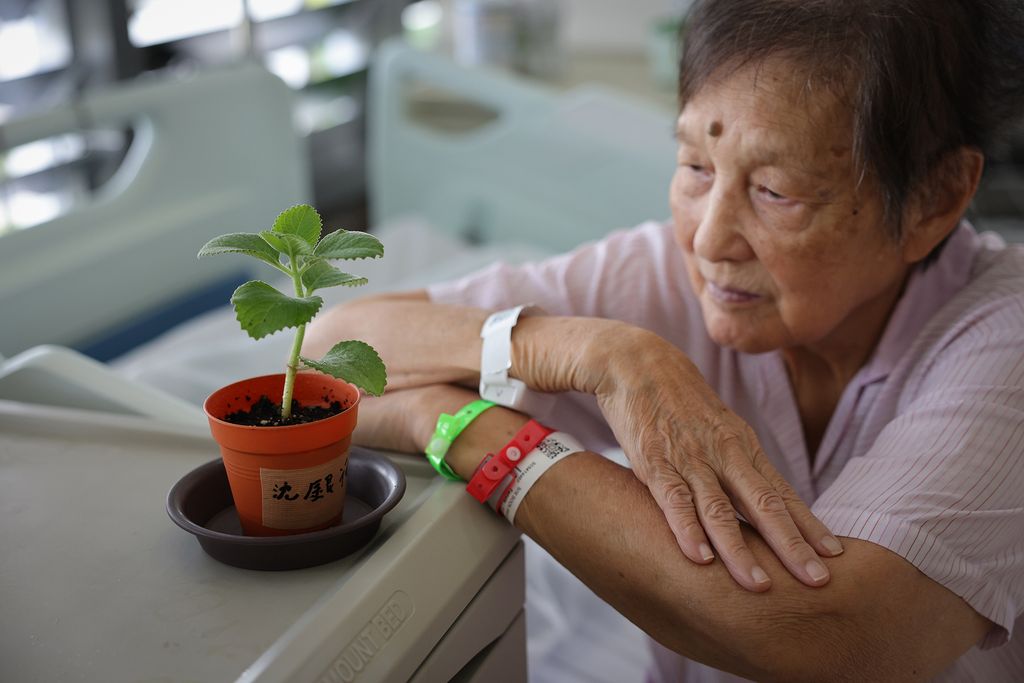 Garden by the bed: Bringing nature and healing to hospital patients