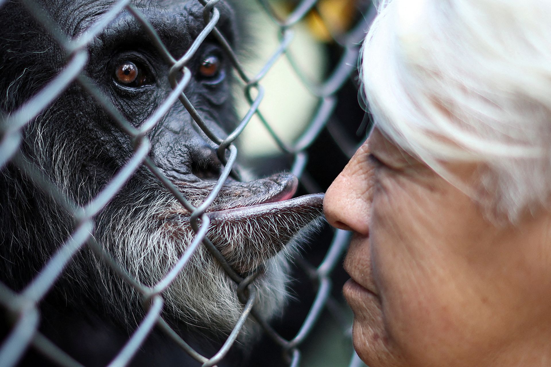 The Week in Pictures | The Straits Times