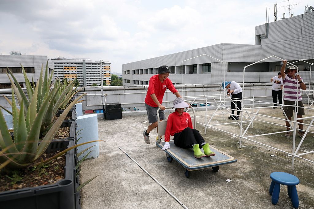 Nature and nurture: This urban farm in S'pore has a very special mission