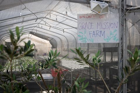 Nature and nurture: This urban farm in S'pore has a very special mission