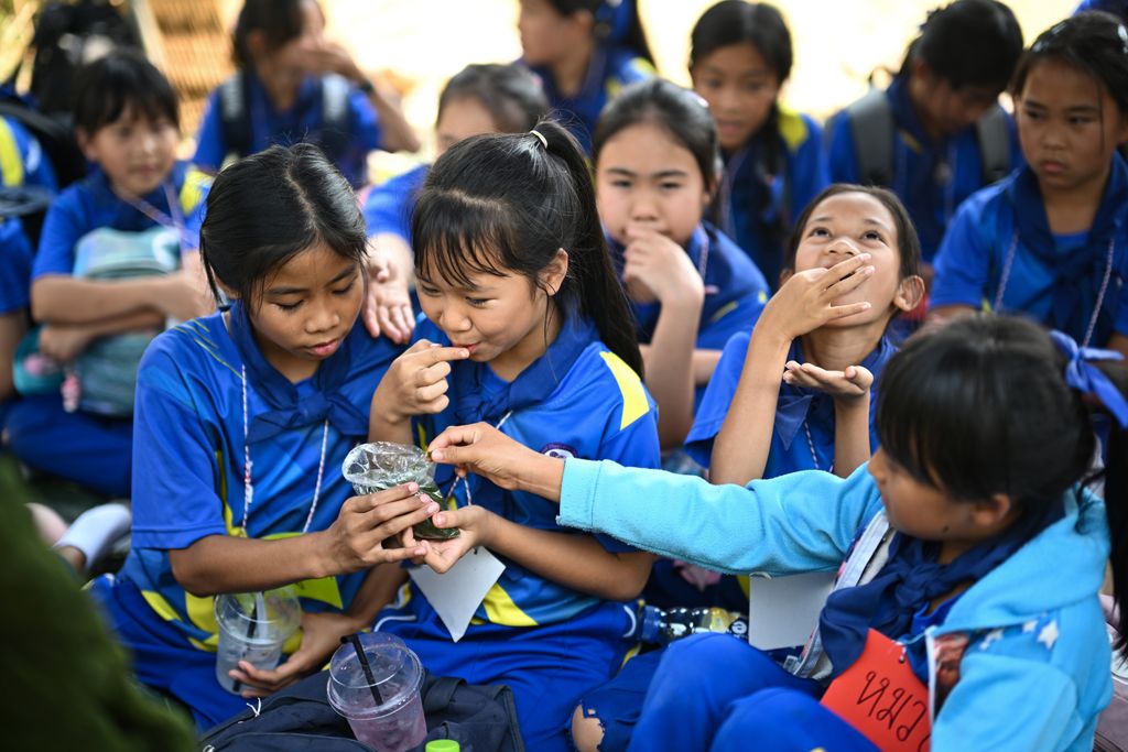 Saving the Mekong: The arduous battle to sustain life along South-east ...