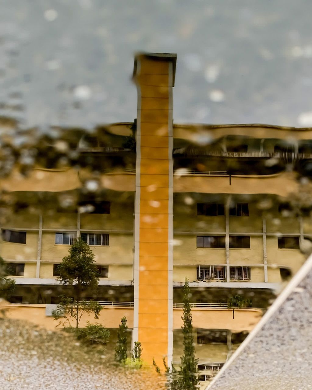 Their world in pictures: Student photographers recognised