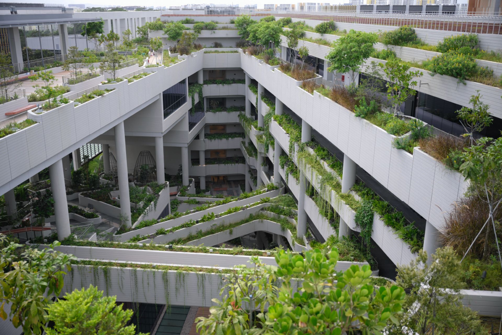 Punggol Digital District, Singapore’s blueprint for future smart ...