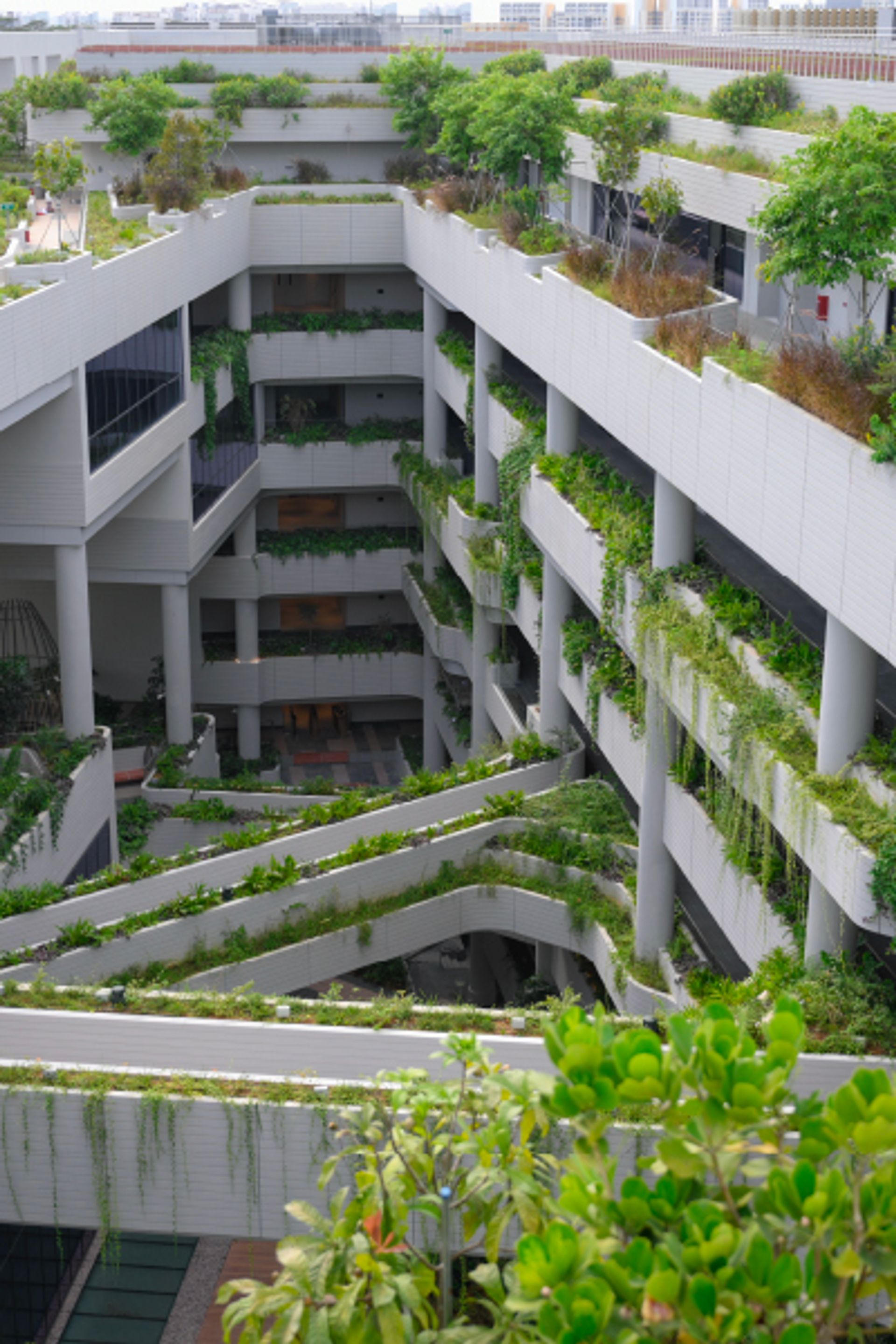 Punggol Digital District, Singapore’s blueprint for future smart districts | The Straits Times