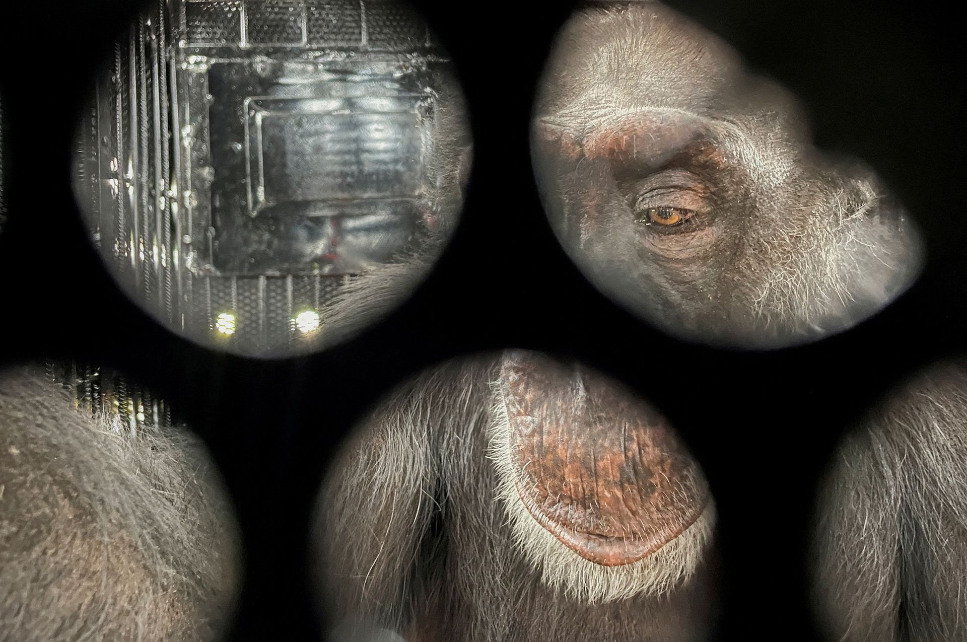 The Week in Pictures | The Straits Times