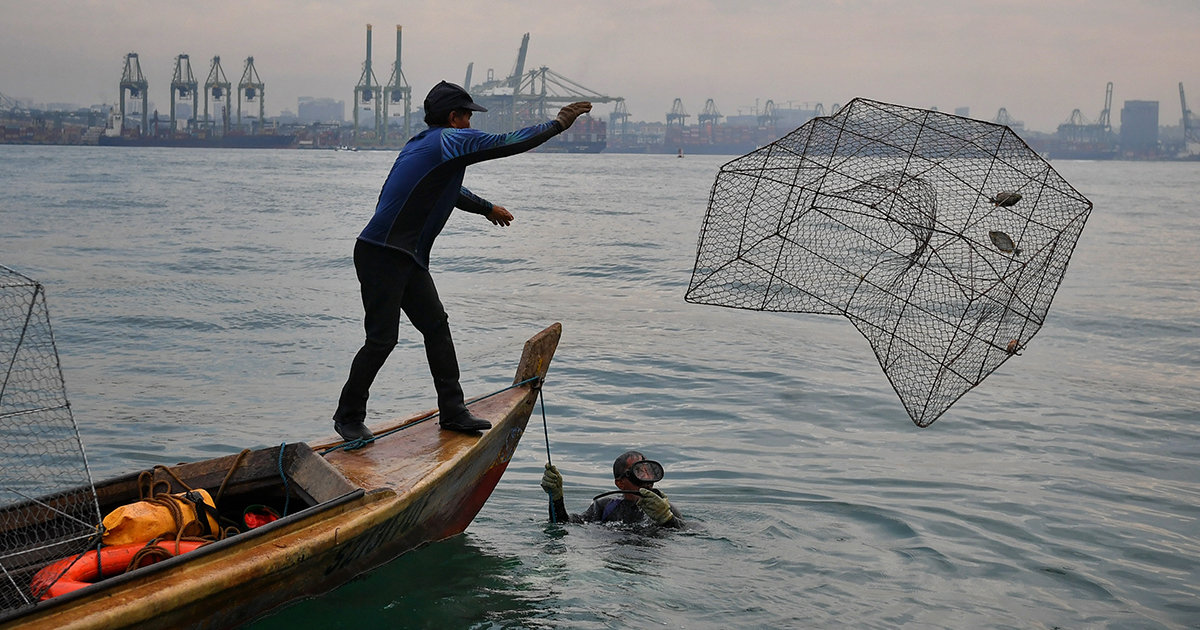 The one that got away: The dying tradition of bubu fishing | The ...