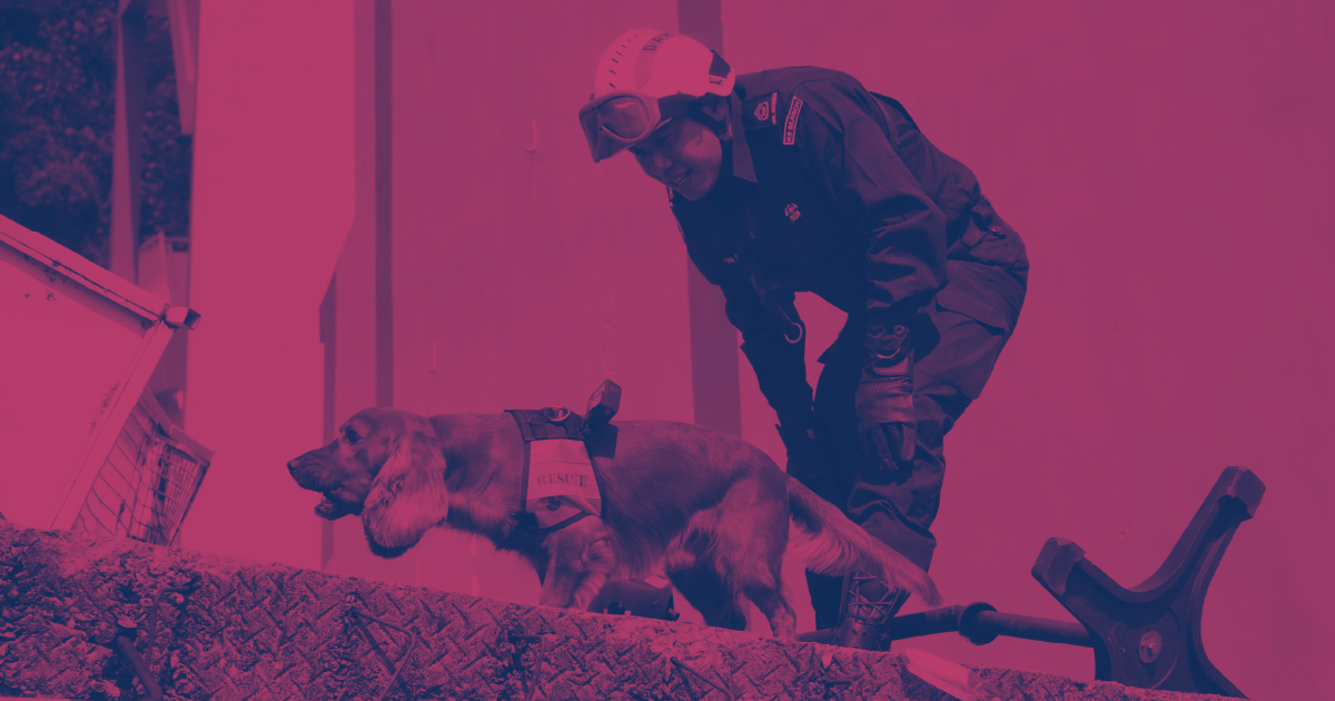 The Straits Times Weekly News Quiz - April 14: SCDF search dogs, US ...