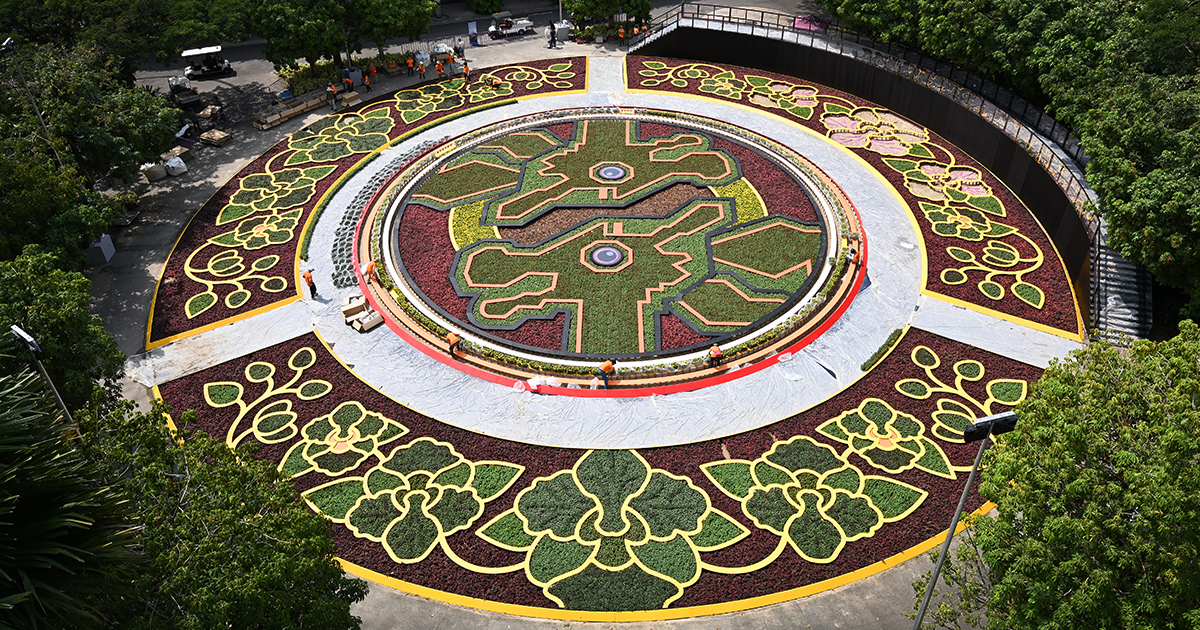 Dragons in bloom: How Singapore’s largest flower carpet was assembled ...